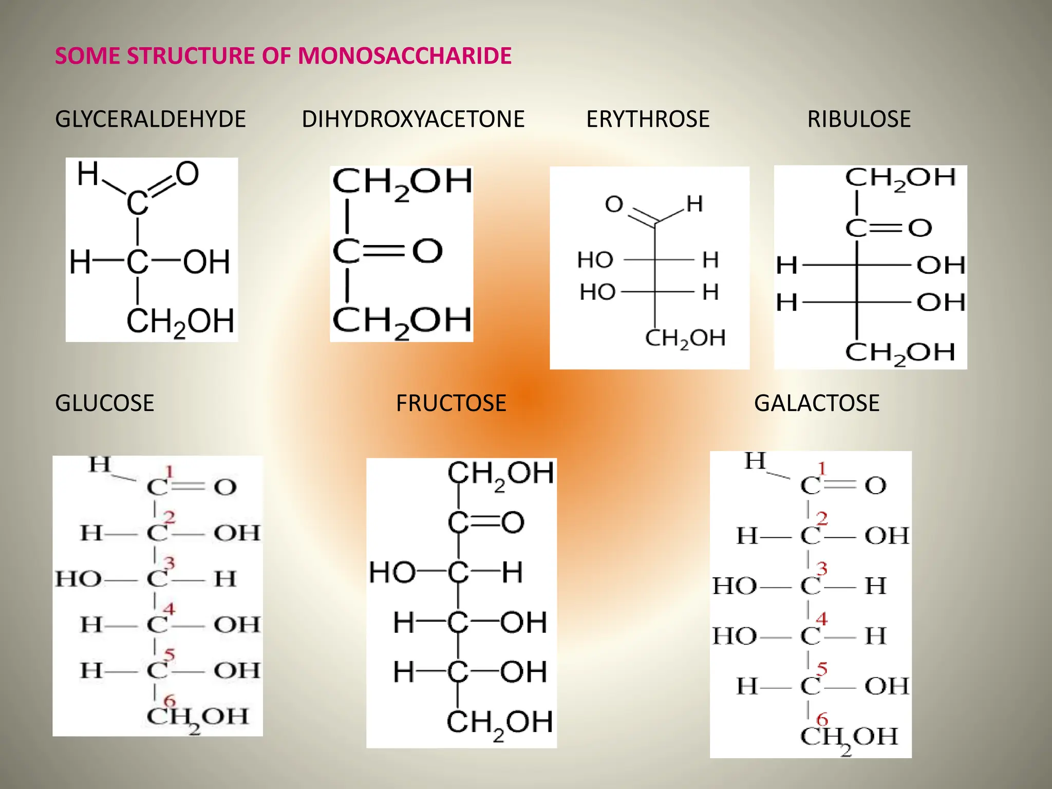 Biomolecules -Food and Nutrition -powerp | PPT