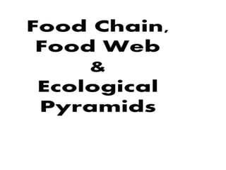 food-chain-food-web-ecological-pyramid.pptx