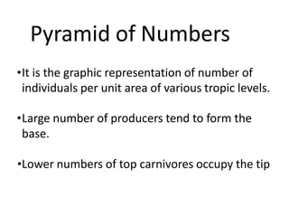food-chain-food-web-ecological-pyramid.pptx