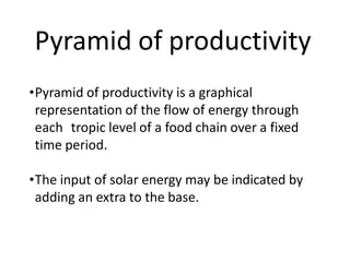 food-chain-food-web-ecological-pyramid.pptx