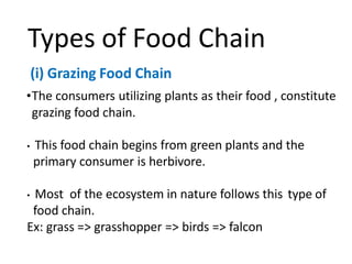 food-chain-food-web-ecological-pyramid.pptx