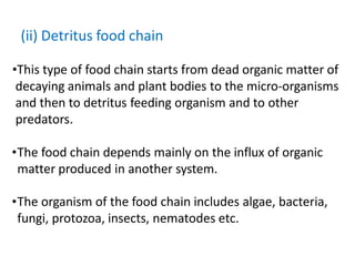 food-chain-food-web-ecological-pyramid.pptx