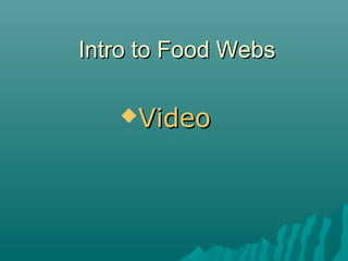Food Chains and Food Webs | PPT