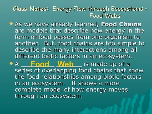 Food Chains and Food Webs | PPT