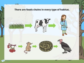 Food-Chains-Powerpoint_Olympiad class six.ppt