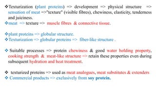 Food-Chemistry-Textured-Protein.pdf