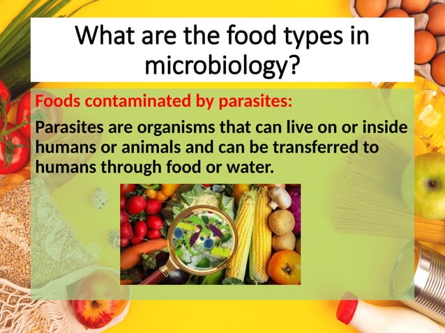 "Food Microbiology: Exploring Microbial Interactions in Food Systems ...