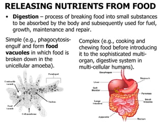 Food nutrition | PPT