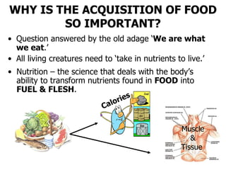 Food nutrition | PPT
