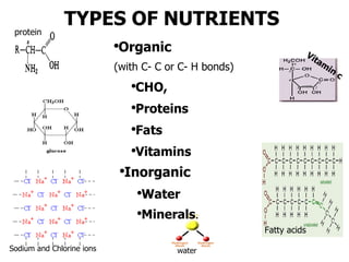 Food nutrition | PPT