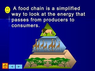 food webs & food chains | PPT