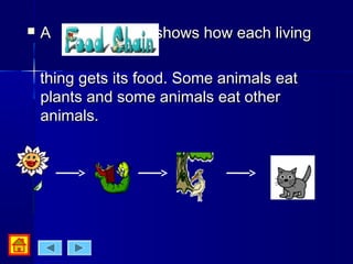 food webs & food chains | PPT