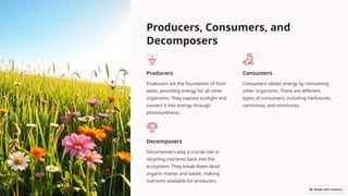 Food-Webs-Exploring-the-Interconnectedness-of-Ecosystems.pptx