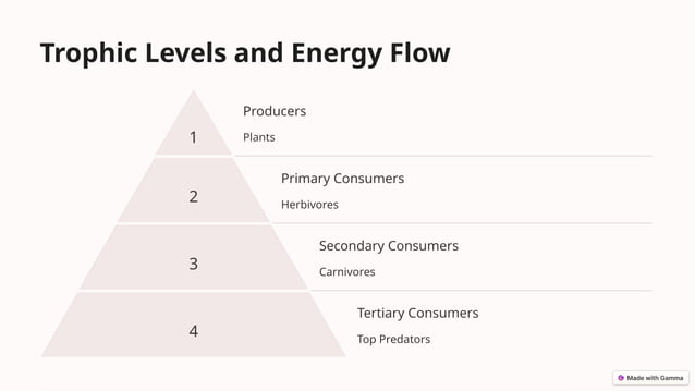 Food-Webs-Exploring-the-Interconnectedness-of-Ecosystems.pptx