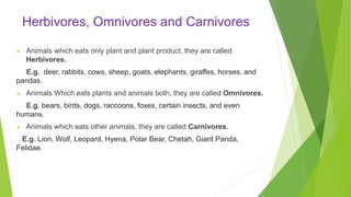 Food - where does it come from | PPTX