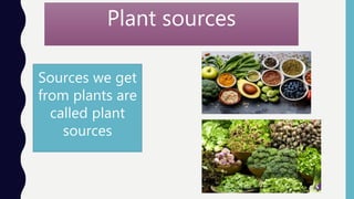 Food where does it comes fom | PPTX