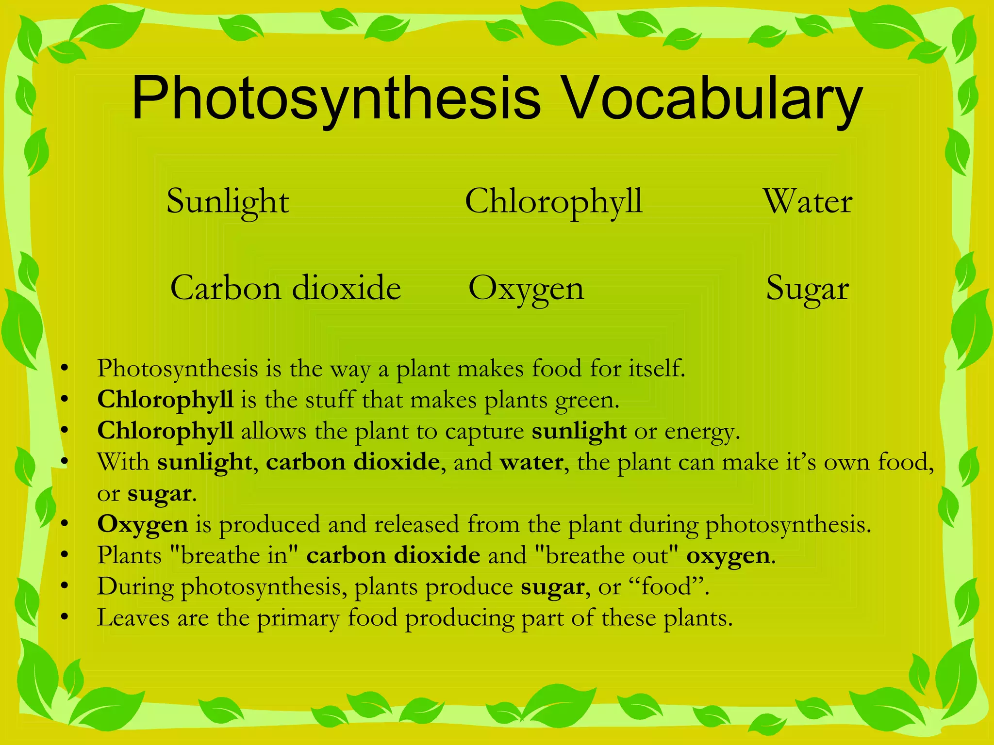 Photosynthesis_Food 4 Thought | PPT