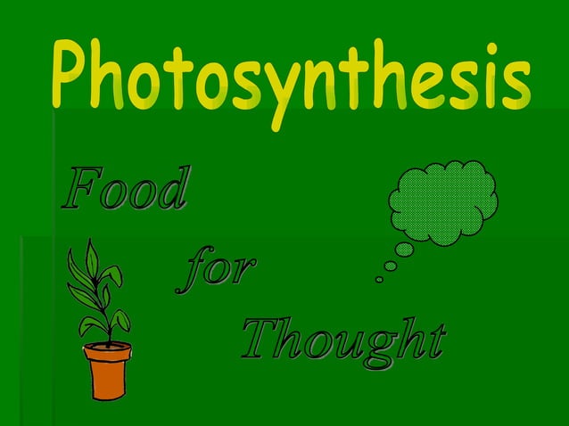 Photosynthesis_Food 4 Thought | PPT