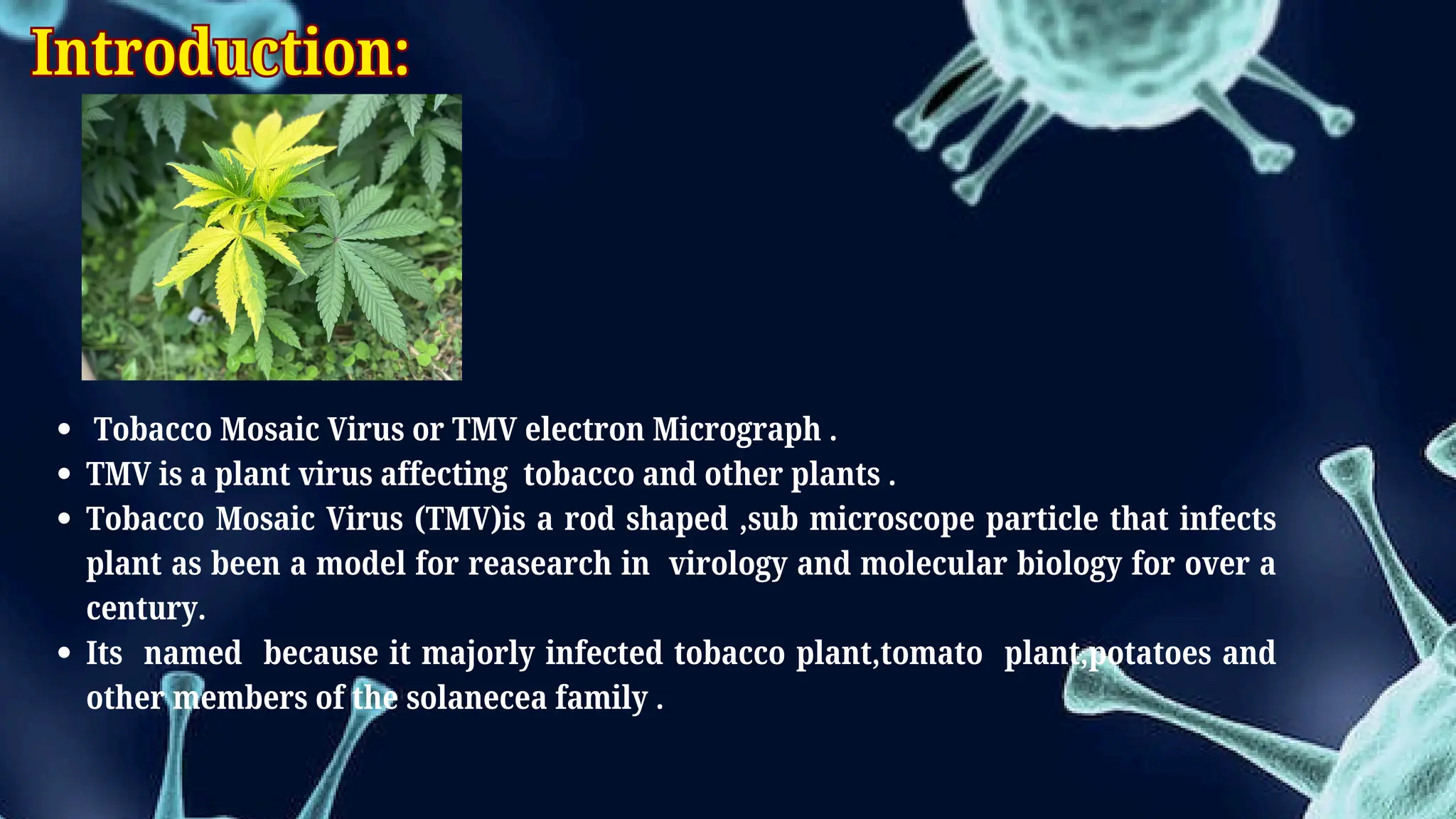 Soil and agricultural microbiology 2024 (TMV) | PDF