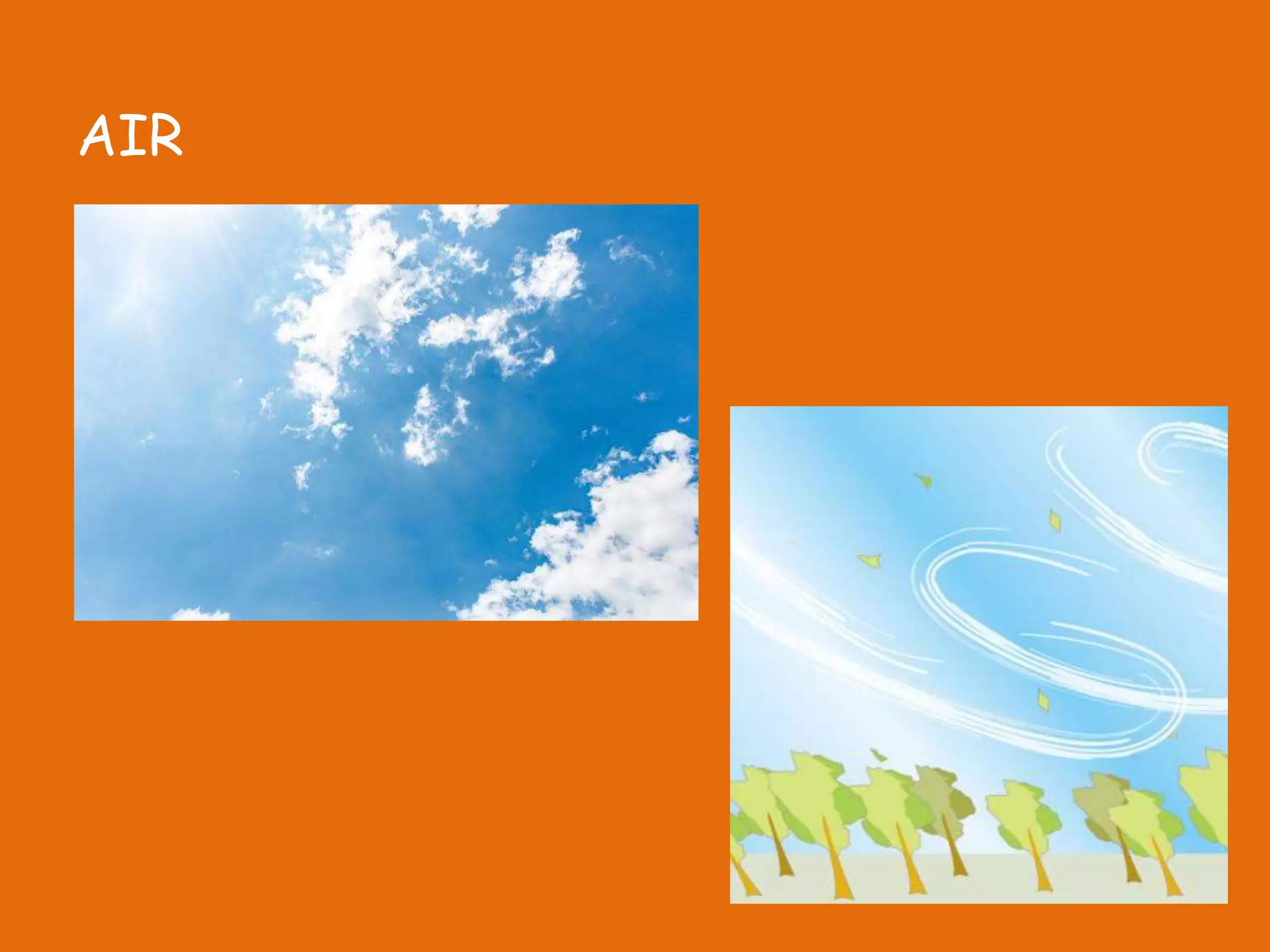 Food, air, water, and shelter | PPTX