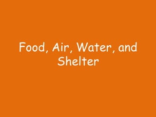 Food, air, water, and shelter | PPTX
