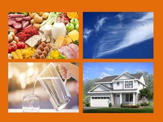 Food, air, water, and shelter | PPTX