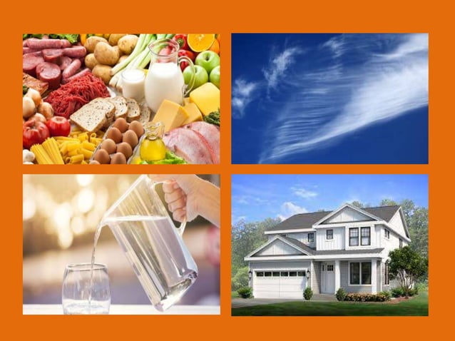 Food, air, water, and shelter | PPTX | Gardening | Home & Garden
