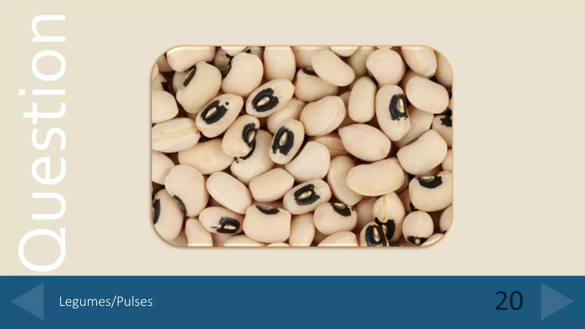 Food and Cooking Vocabulary Jeopardy Game | PPTX