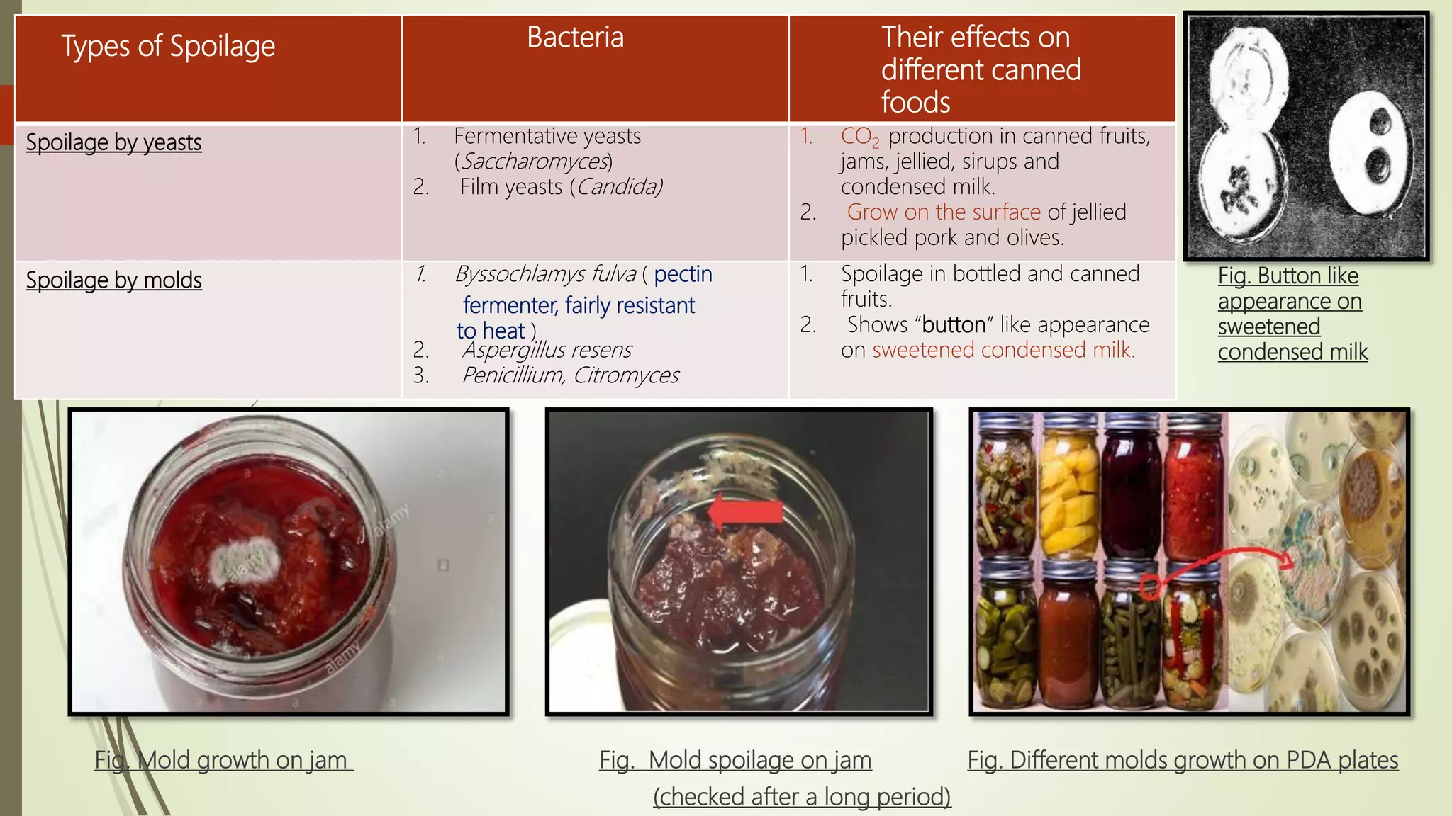 Food and Dairy Microbiology | PPTX