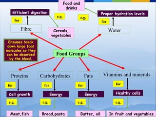 Food And Digestion Concept Map | PPT
