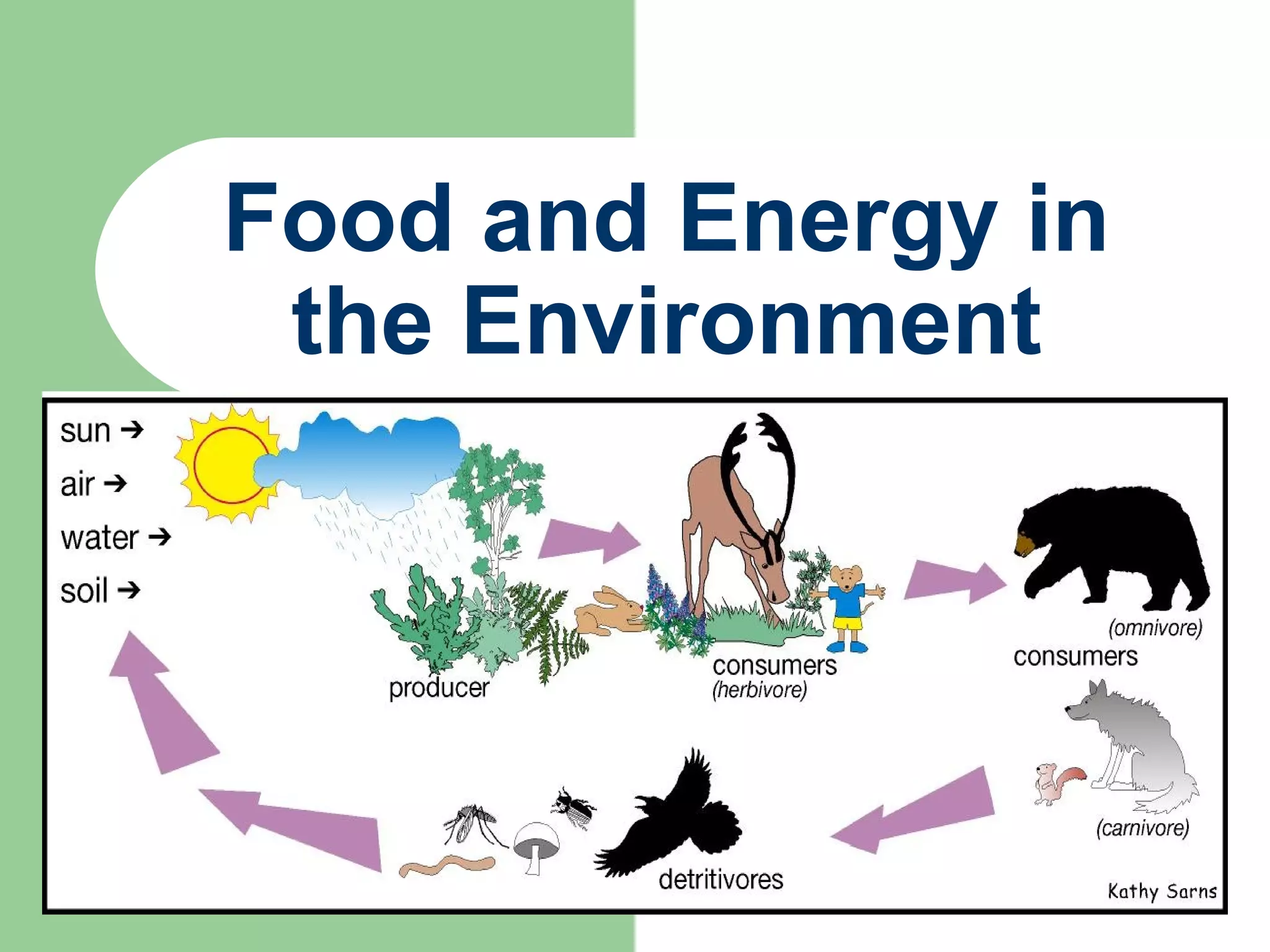 Food and energy in the environment | PPT