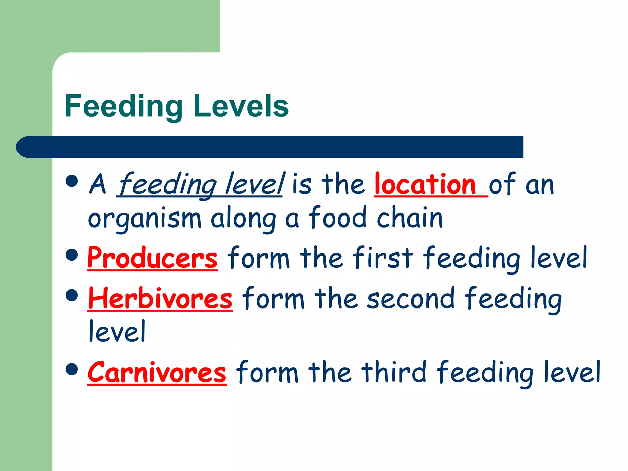 Food and energy in the environment | PPT