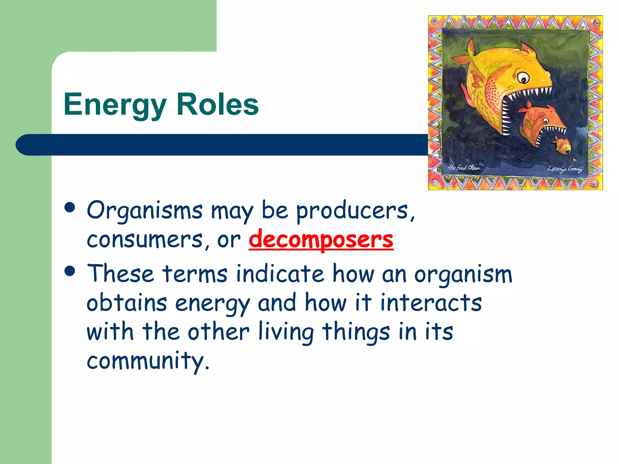 Food and energy in the environment | PPT