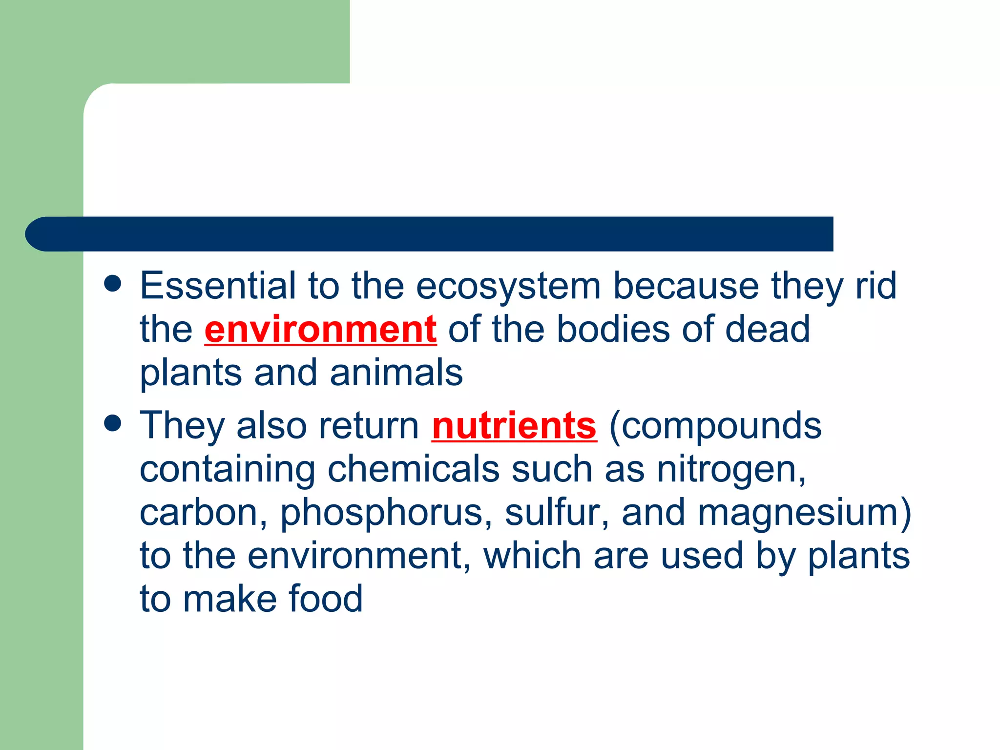 Food and energy in the environment | PPT