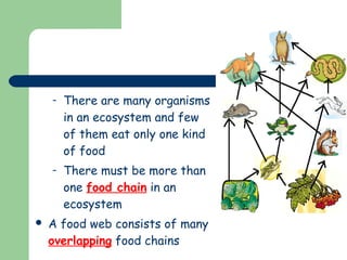 Food and energy in the environment | PPT