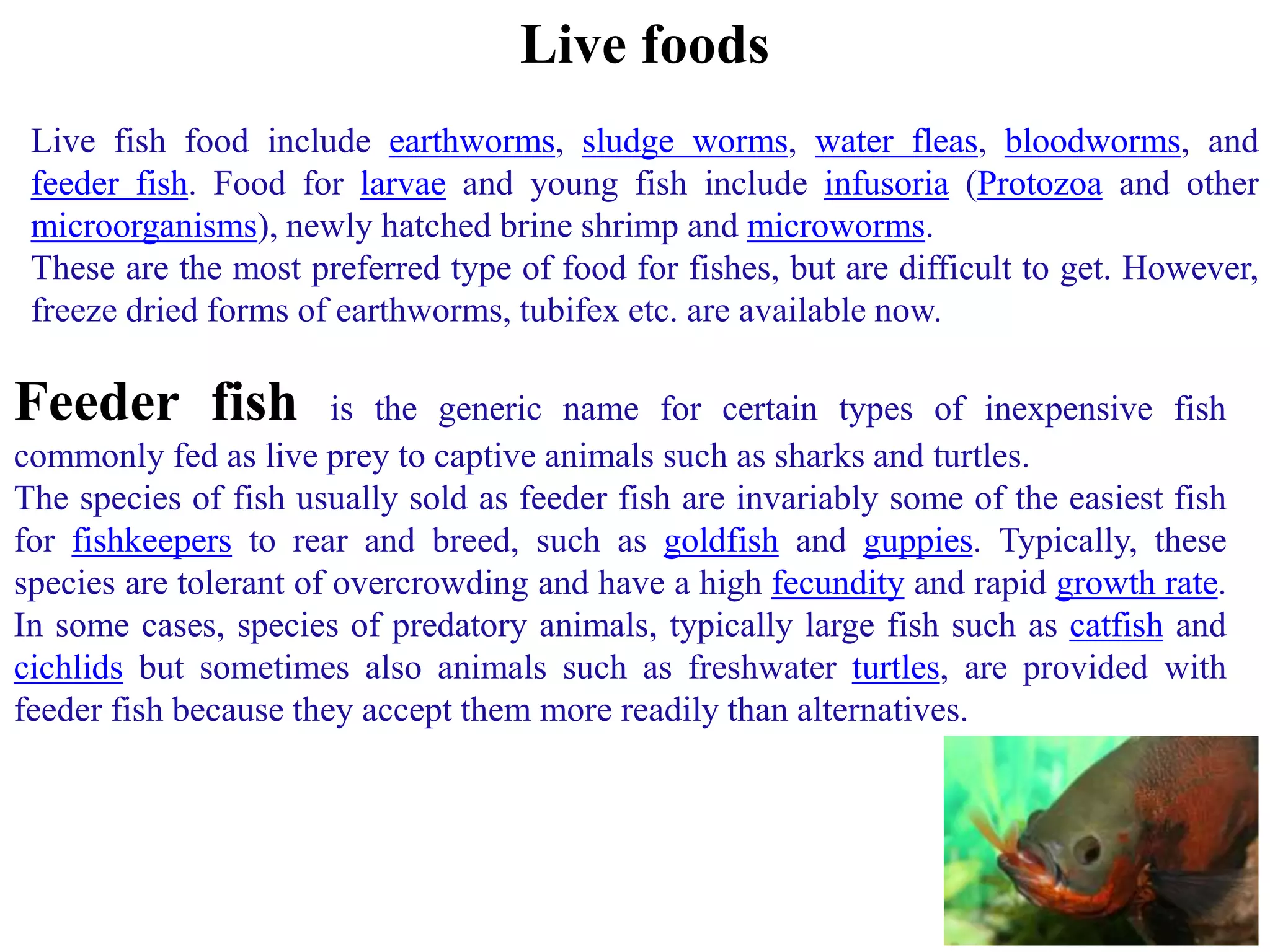 Food and feeding | PPTX