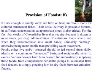 Food and feeding | PPTX