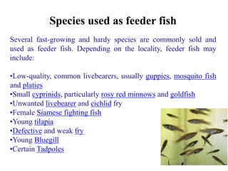 Food and feeding | PPTX