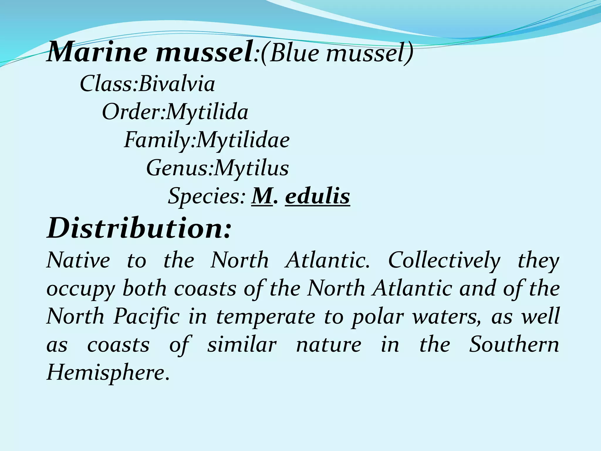 Food and feeding habit of shellfishes | PPTX