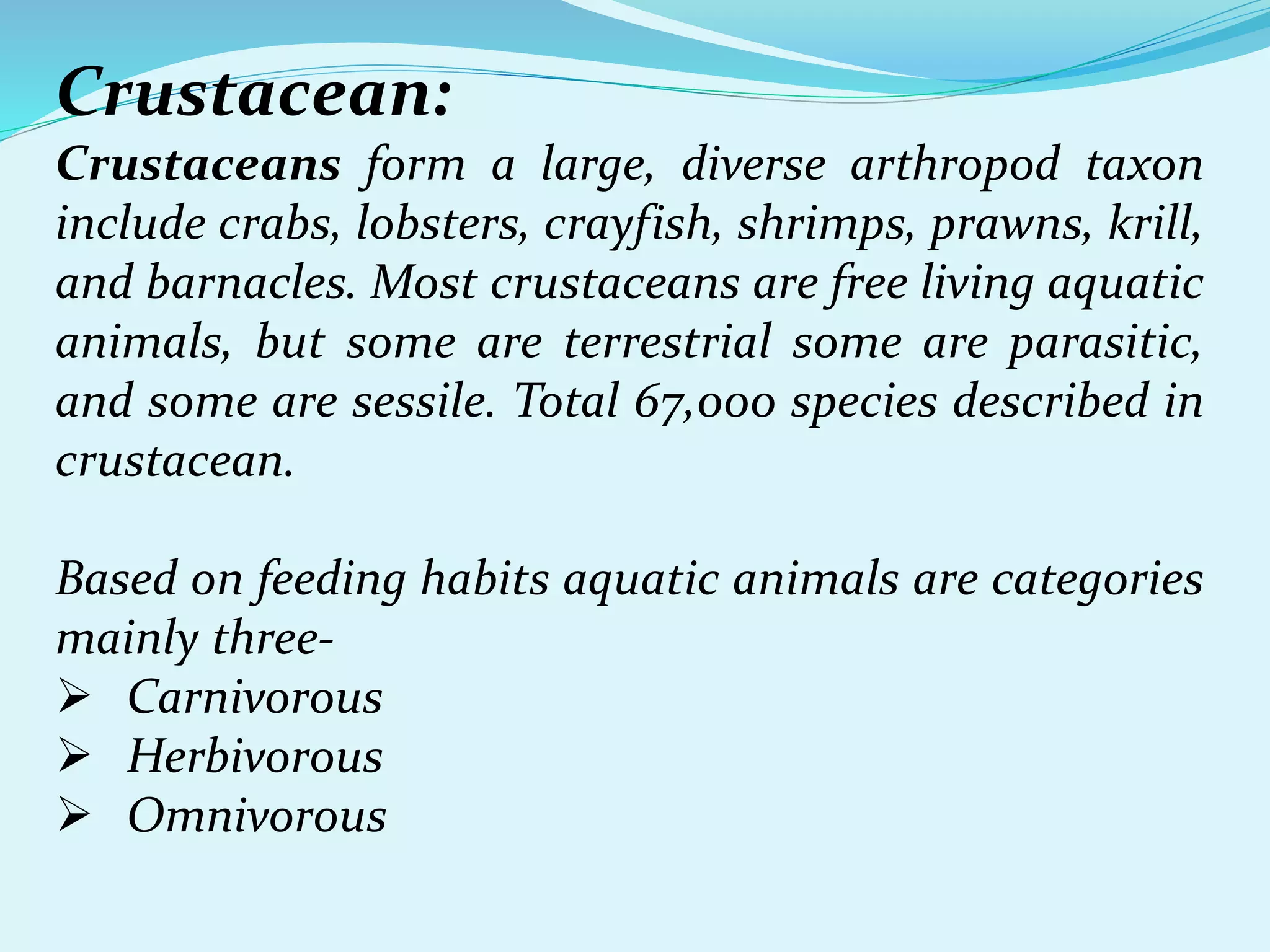 Food and feeding habit of shellfishes | PPTX