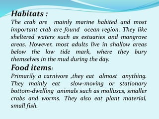 Food and feeding habit of shellfishes | PPTX