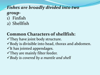 Food and feeding habit of shellfishes | PPTX