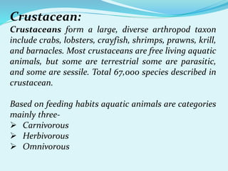 Food and feeding habit of shellfishes | PPTX