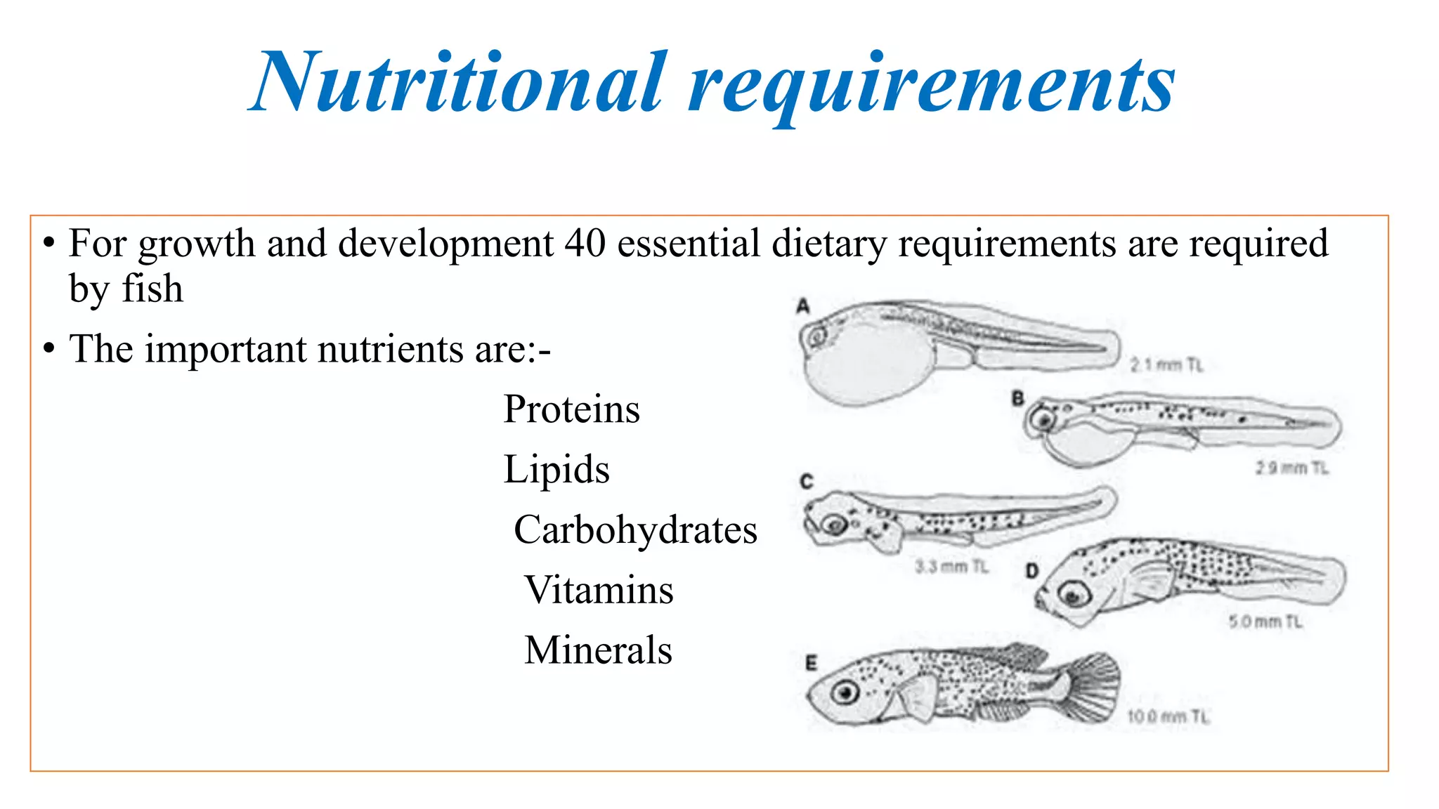 Food and feeding habits of larvae of finfishes ppt | PPTX