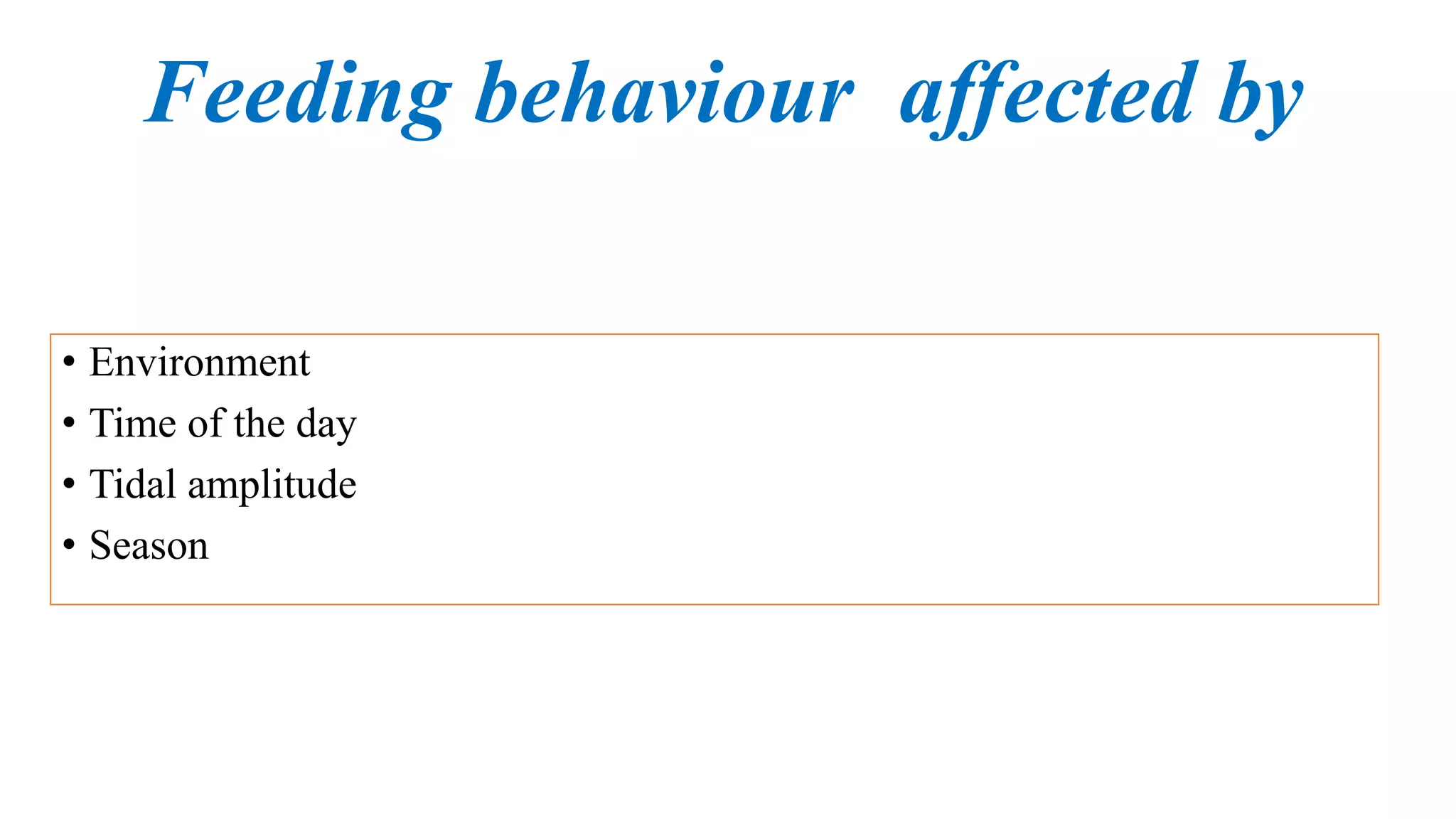 Food and feeding habits of larvae of finfishes ppt | PPTX