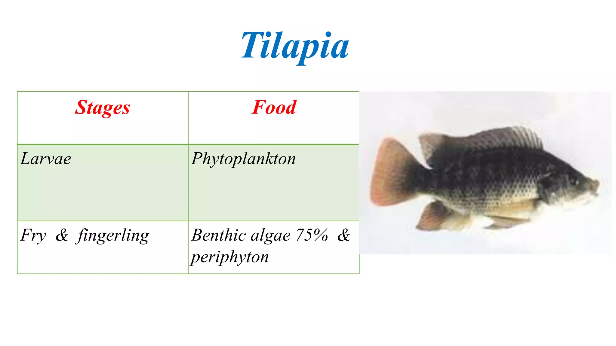 Food and feeding habits of larvae of finfishes ppt | PPTX