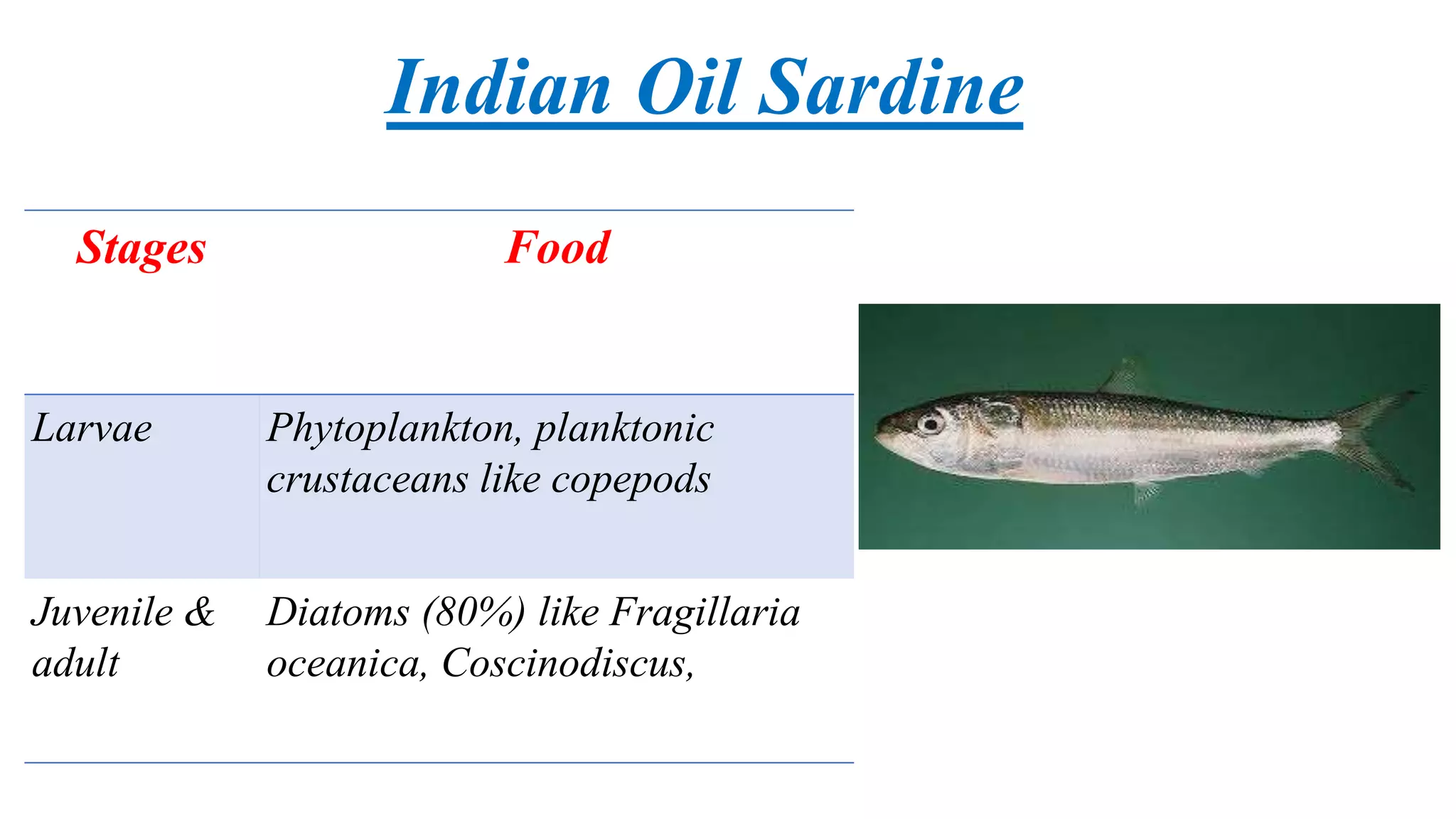 Food and feeding habits of larvae of finfishes ppt | PPTX