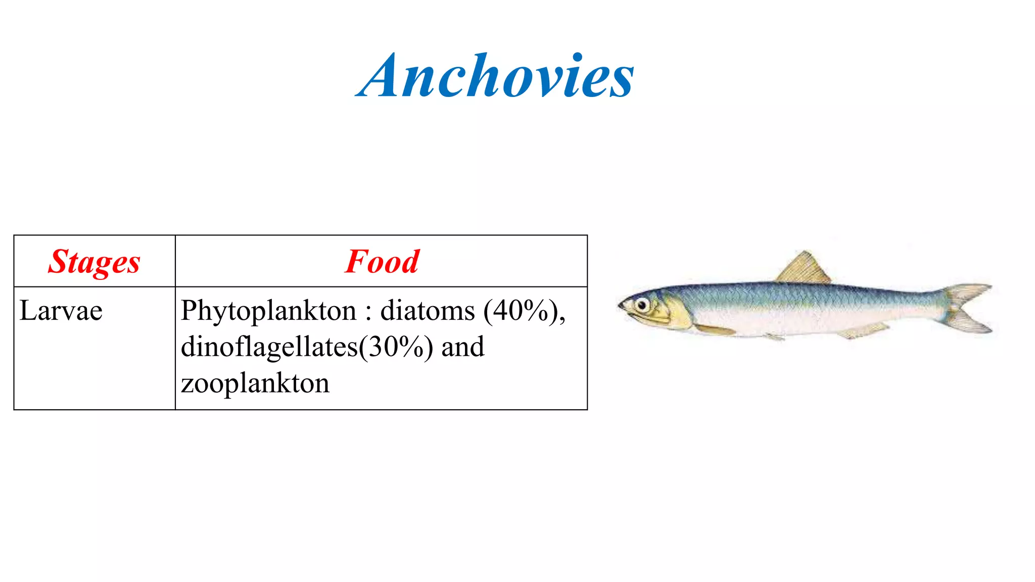 Food and feeding habits of larvae of finfishes ppt | PPTX | Zoos ...