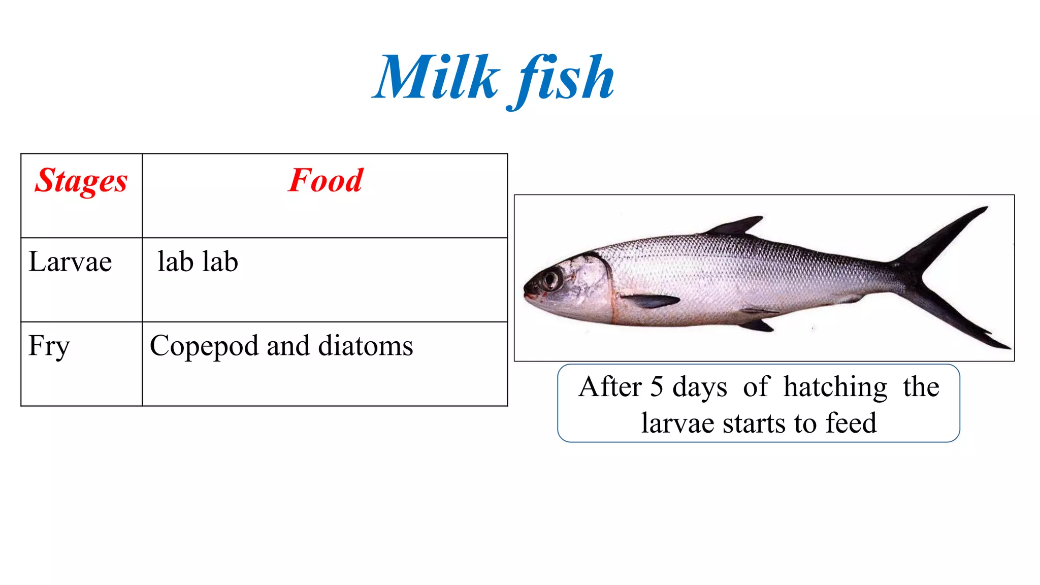 Food and feeding habits of larvae of finfishes ppt | PPTX