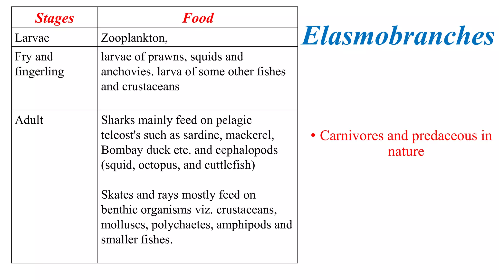 Food and feeding habits of larvae of finfishes ppt | PPTX